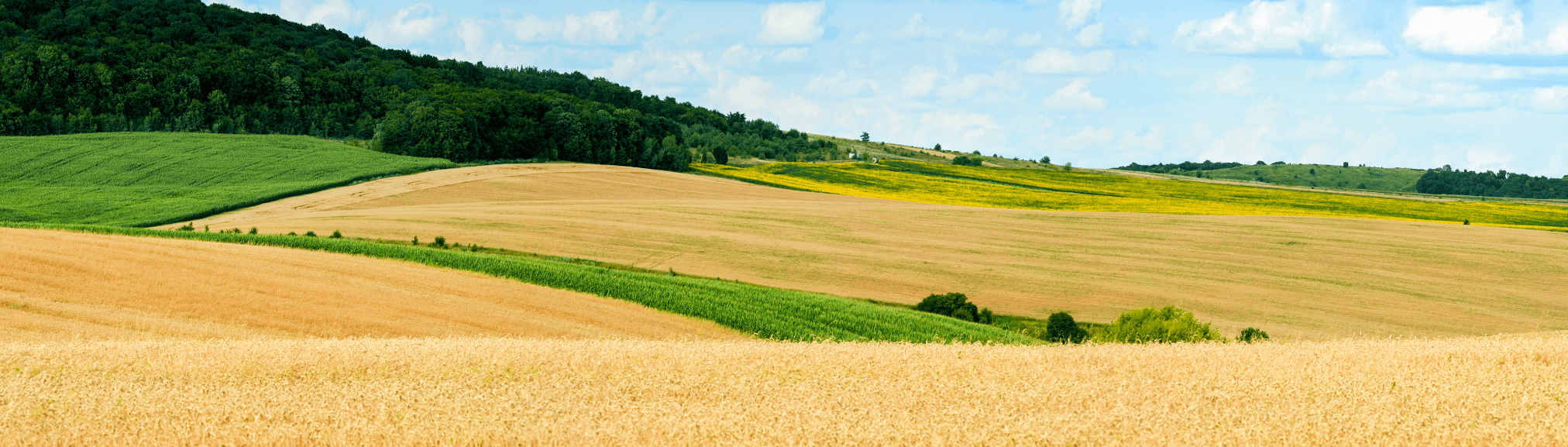 Contact | Brown Tank LLC | St. Paul, MN | Premier Designer, Fabricator ...